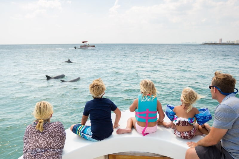 Shell Island Shuttle