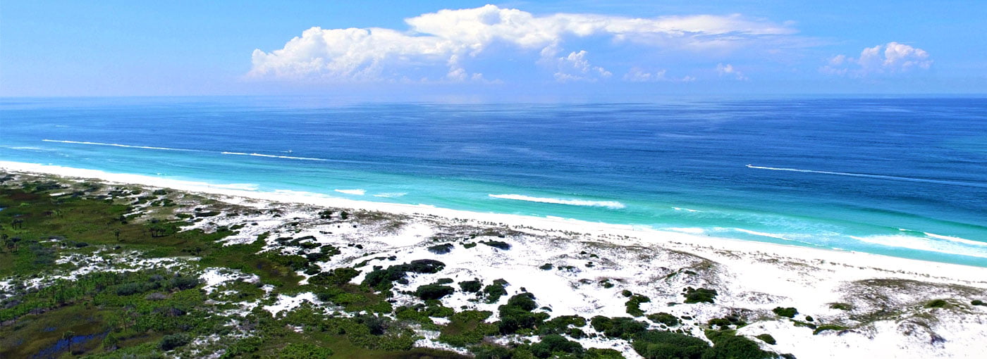 Shell Island Shuttle