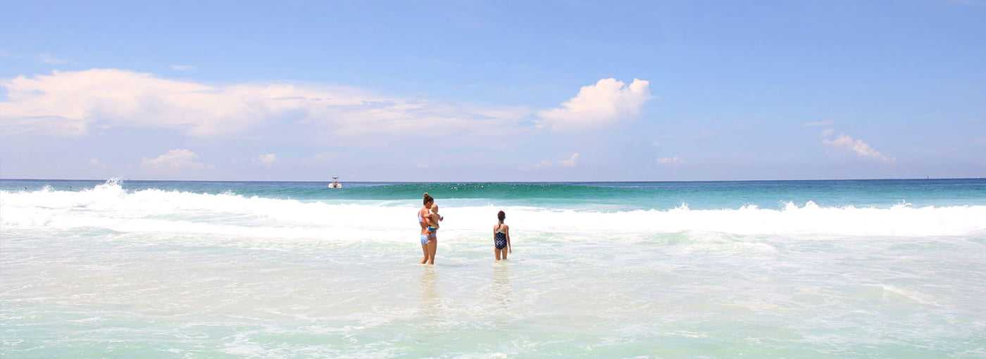 Shell Island Shuttle